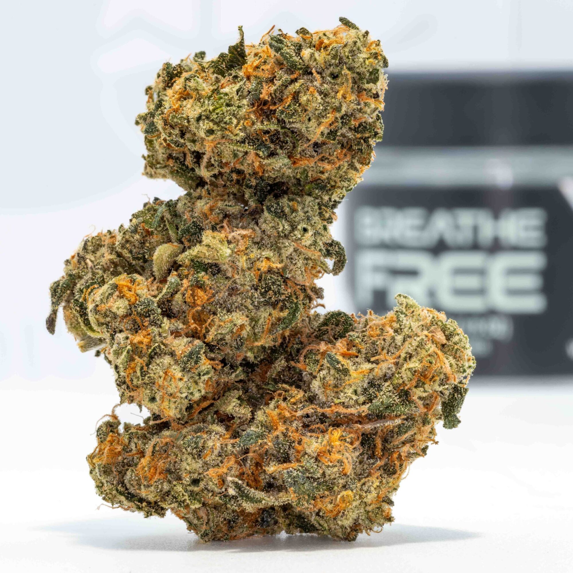 Guava Biscotti (3.5g Flower) | Breathe Free | The Piping Plover Dispensary