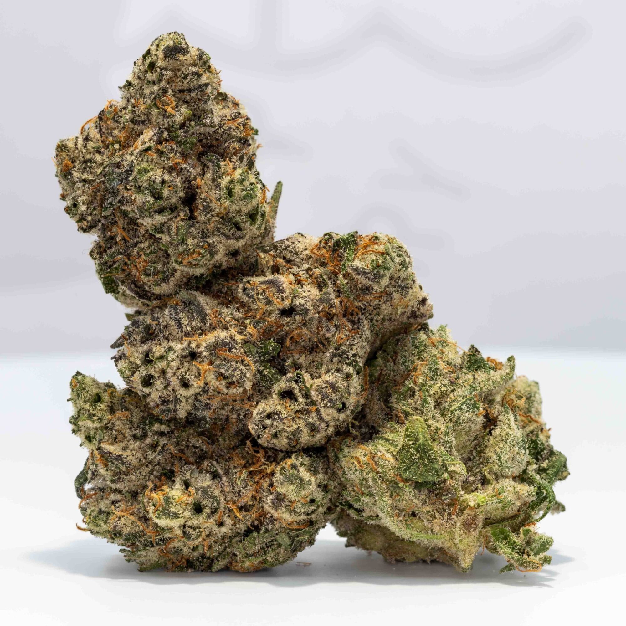 Grease Monkey (3.5g Flower) | NEA | The Piping Plover Dispensary