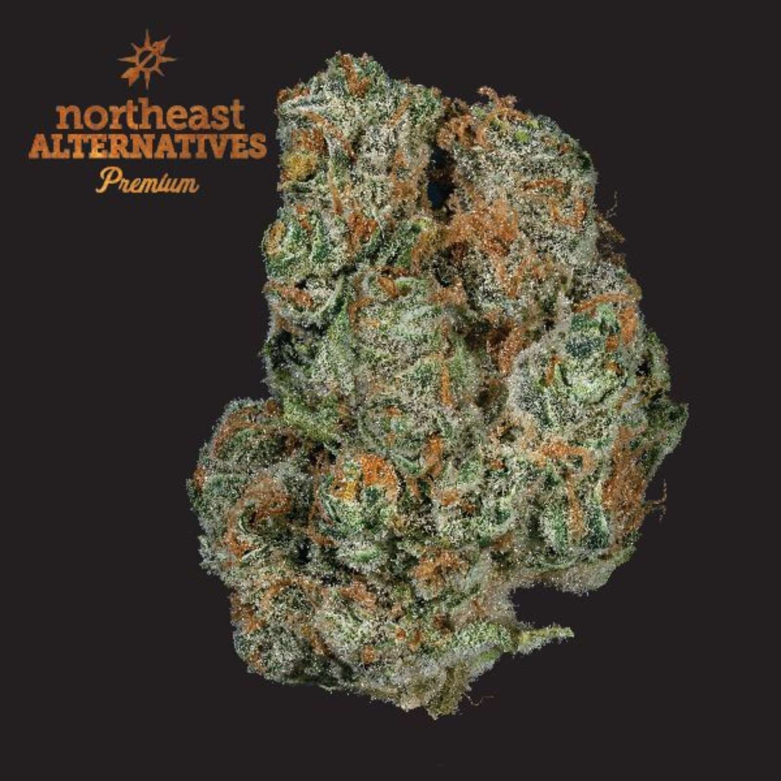 Pineapple Express (3.5g Flower) | Northeast Alternatives | The Piping Plover Dispensary